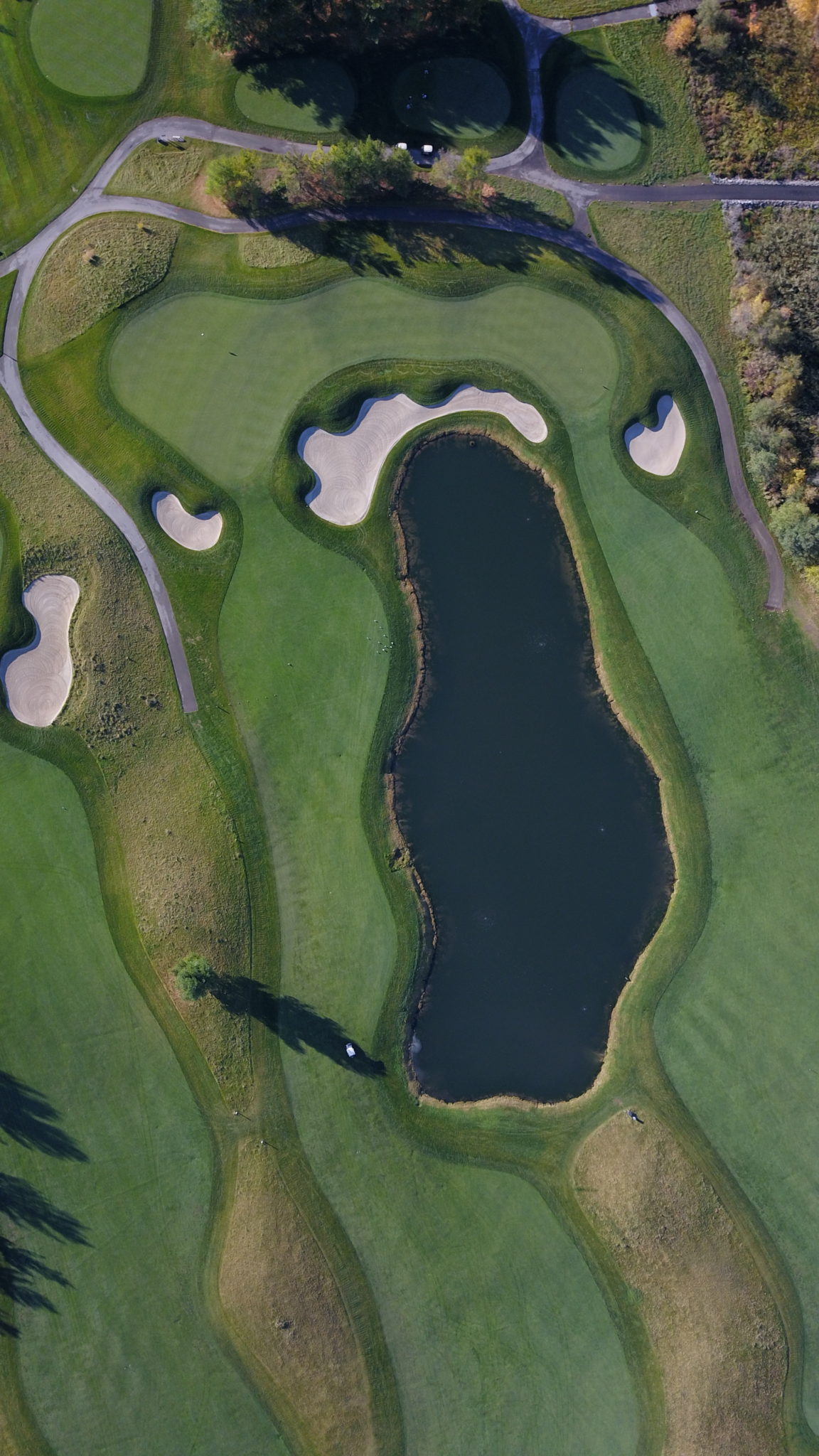 Golf | Copetown Woods Golf Club