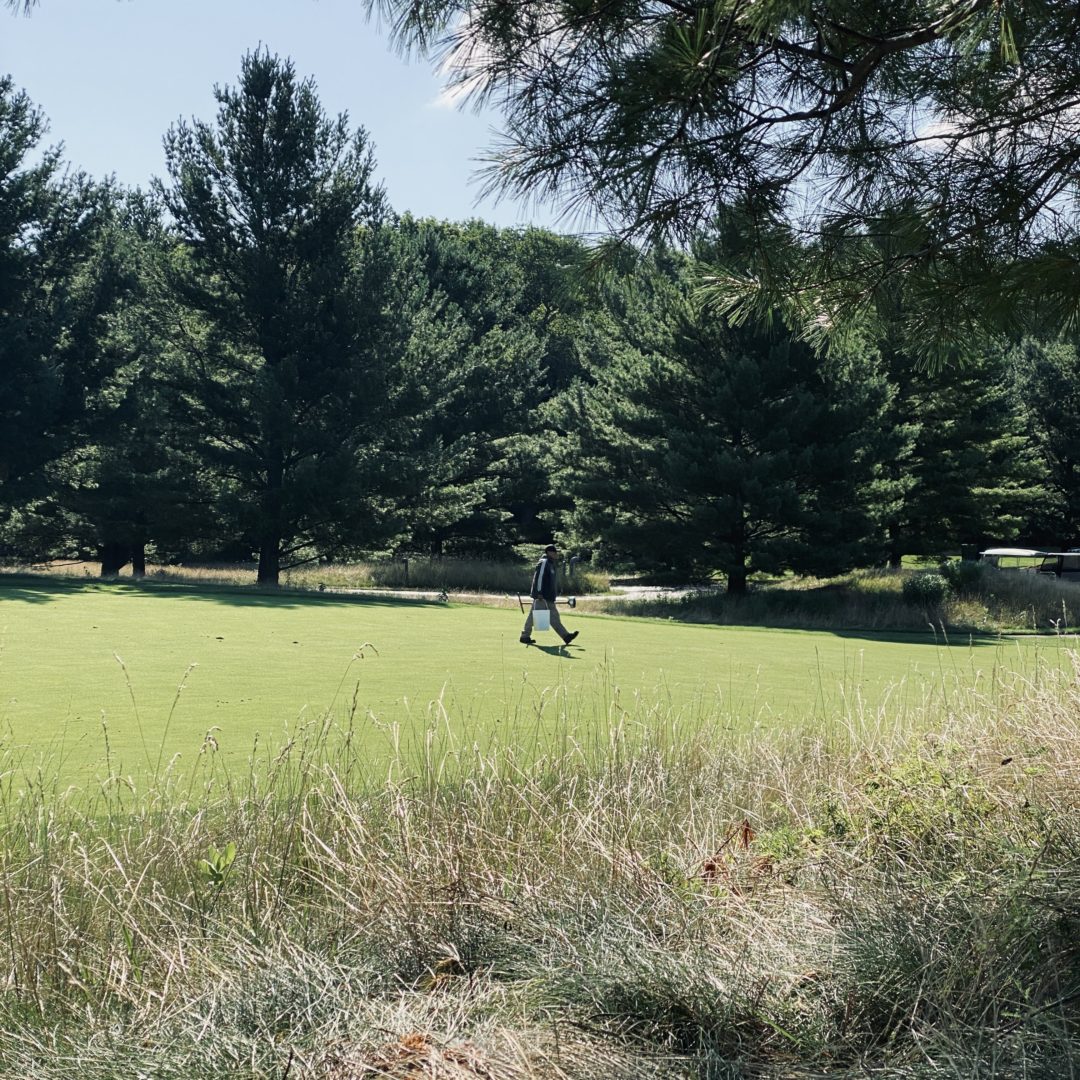 Environment | Copetown Woods Golf Club